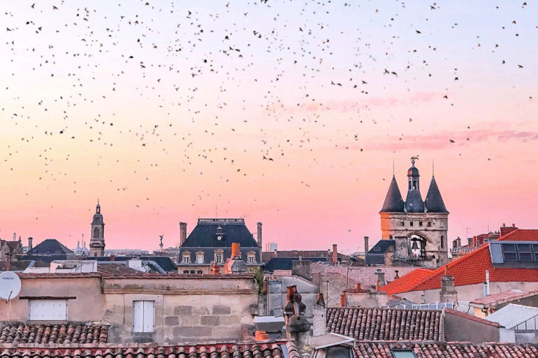 Week-end Bordeaux : Brunch, iboat, fifib, bal et cocktails